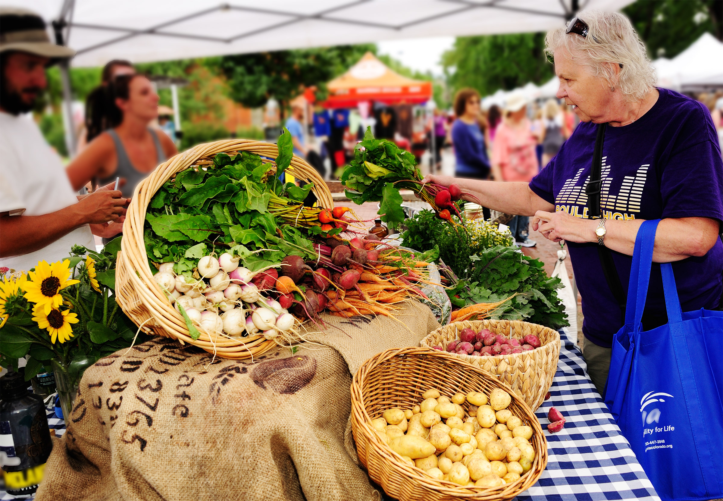 Corporate Sponsorship | Via Mobility Services